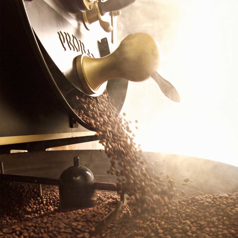 roester - MOTOR-BW - Wir BWgen das Land